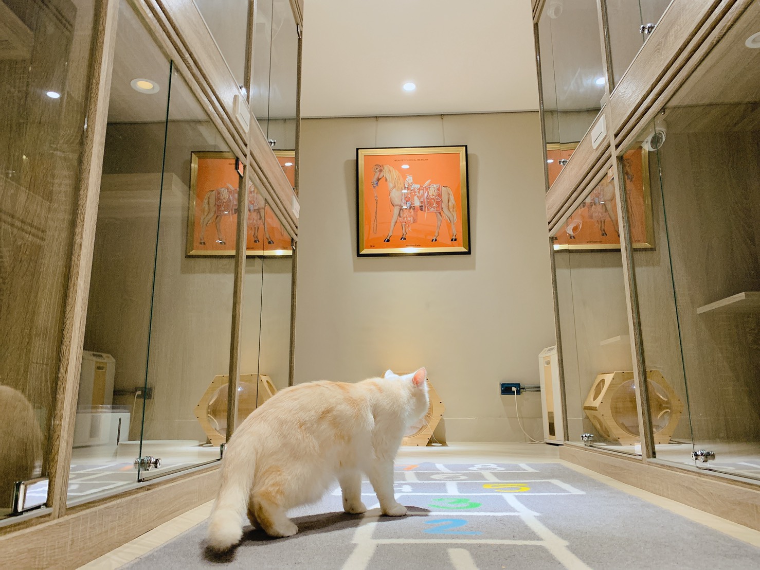 Hercat.愛貓仕貓咪旅館