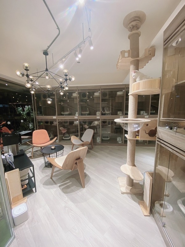 Hercat.愛貓仕貓咪旅館