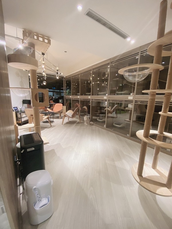 Hercat.愛貓仕貓咪旅館