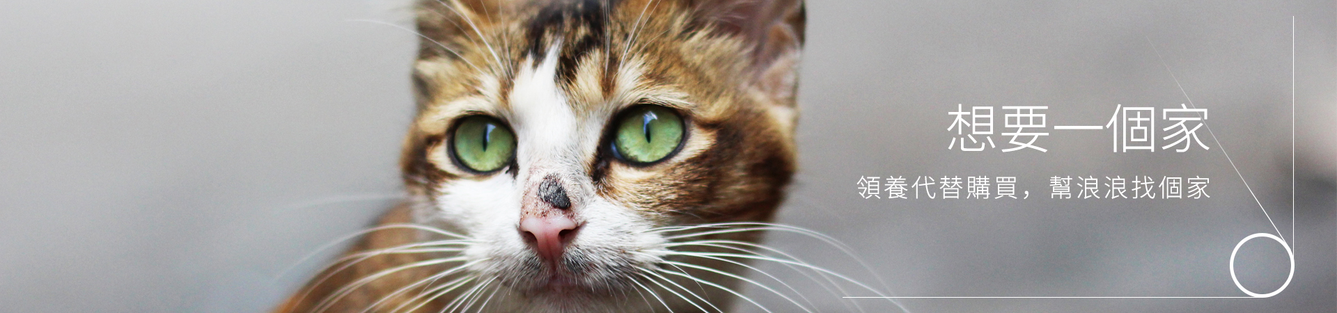 Hercat.愛貓仕貓咪旅館