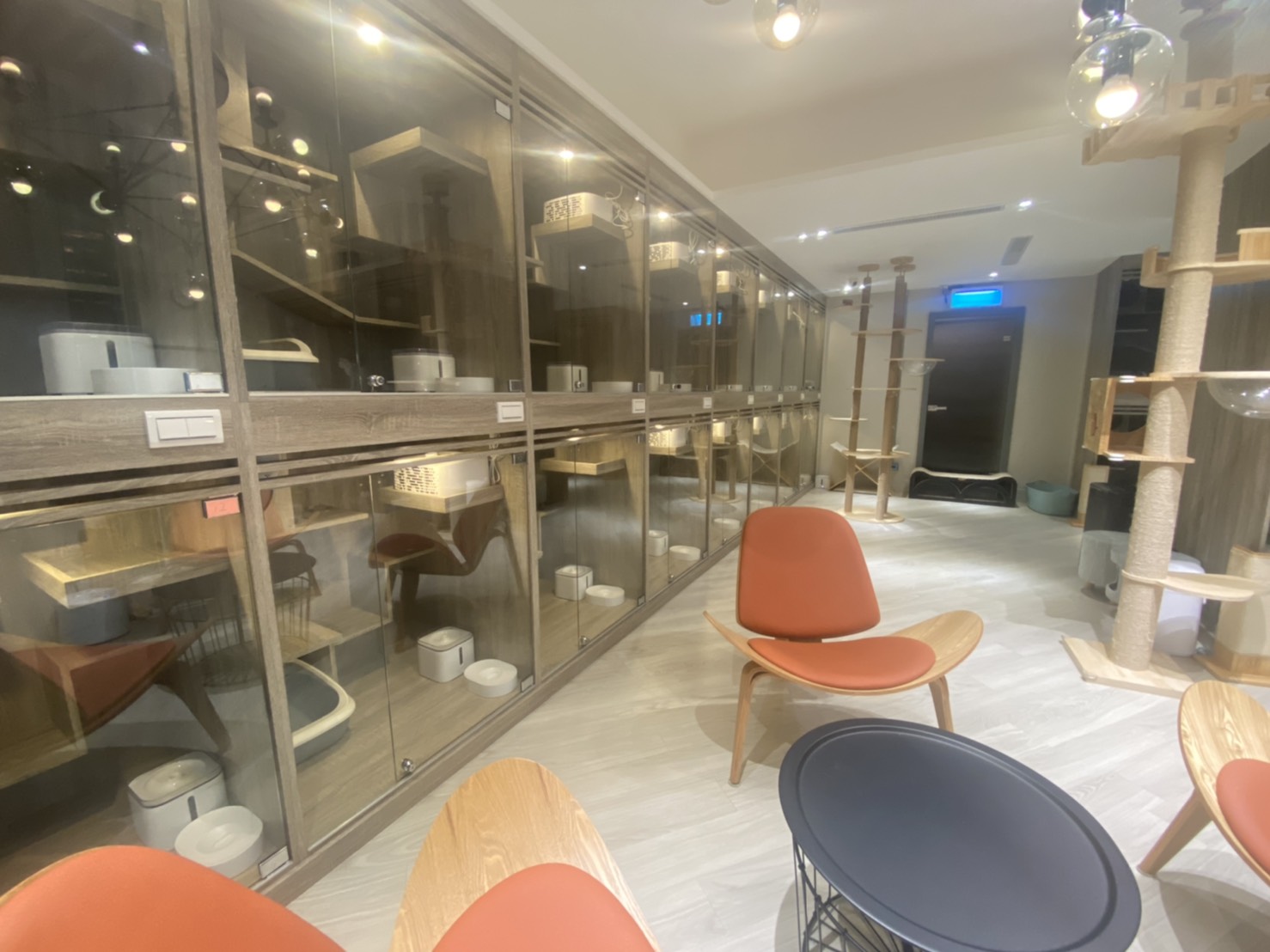 Hercat.愛貓仕貓咪旅館