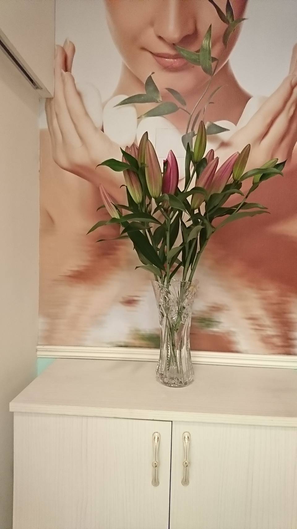 麗菲爾香氛 SPA 館【板橋按摩】芳療 護膚 清粉刺