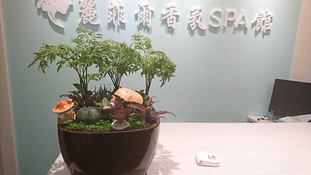 麗菲爾香氛 SPA 館【板橋按摩】芳療 護膚 清粉刺